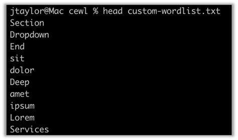 Cool Tools Series Cewl For Penetration Testing Raxis