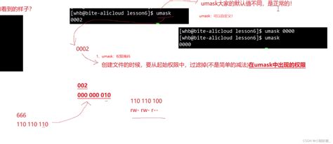 【linux】shell命令运行原理和权限详解 linux shell怎么运行 csdn博客