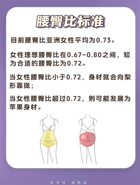 腰臀比测量与标准