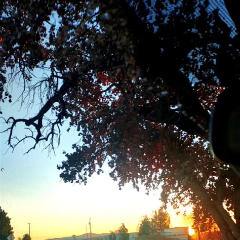 Xoxo The Jig Is Up Doll Tumblr Blog Tumlook