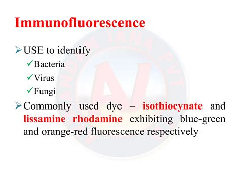 Hypersensitivity Allergy Drug Allergy Contact Dermatitis Allergic Asthma Ppt