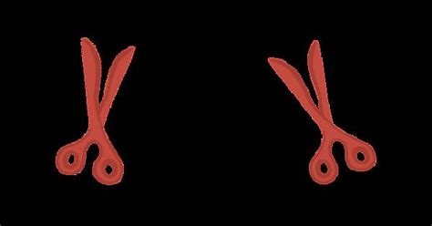 Ciseaux Album On Imgur