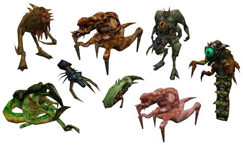 Race X Half Life Wiki Fandom Powered By Wikia