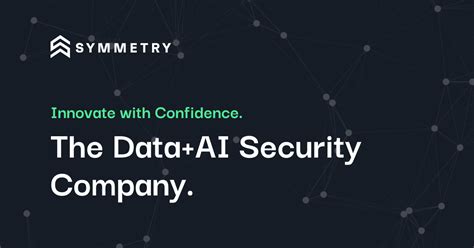 symmetry systems the data ai security company