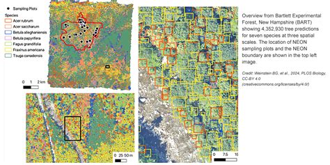 Machine Learning Helps Predict Diversity Of Forest Tree Species Geoconnexion