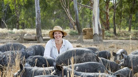 Murray Plains Co Operative Opens 2 5m Micro Abattoir At Barham The