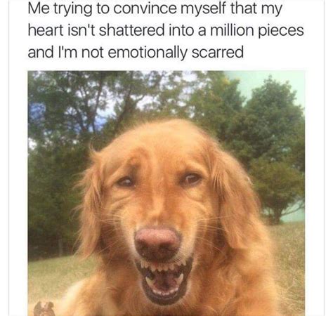 Mar¢o Marcobartolo Twitter