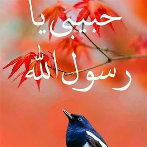 Jonathen غريبه وطن Youtube