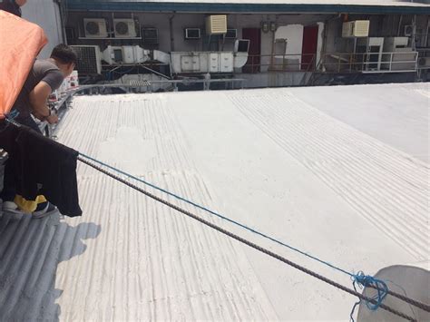 Castle Waterproofing Application Pathology Roof E Hsing Corporation
