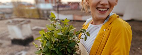 Asept The Dispensing Specialist Of Liquid Portion Dispensers