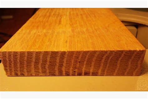 How Do Ring Porous Trees Differ From Diffuse Porous Trees