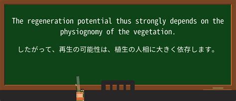 【英単語】physiognomyを徹底解説！意味、使い方、例文、読み方