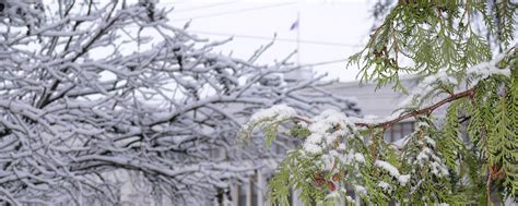 Новости Калужской области Новости Калуги от ведущего новостного портала региона