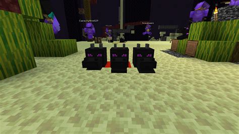 Lightbane Smp Smp Java 18 Whitelisted Vanillatweaks 1192