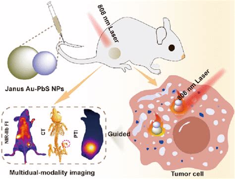 Plasmonic Fluorescent Janus Au Pbs Nanoparticles With Bright Near
