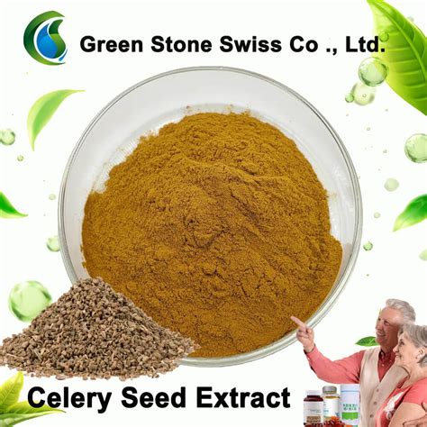Apium Graveolens Celery Seed Extract 10 1 Price Supply Manufacturer