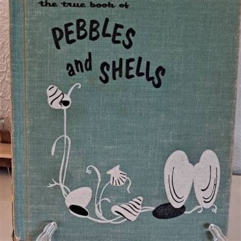 Shells Book Etsy