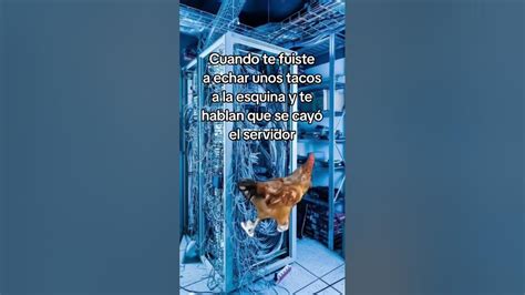 Cuando Se Cae El Servidor Programacion Programador Programmer