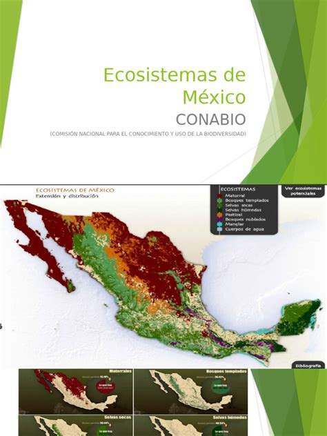 Ecosistemas De México Pdf