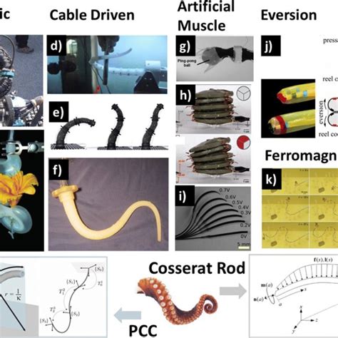 Bioinspired Soft Robotics State Of The Art Challenges And Future Directions Request PDF