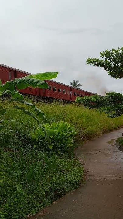 Sri Lanka Railway රජ රට රැජින දුම්රිය 🇮🇳🇱🇰 Youtube