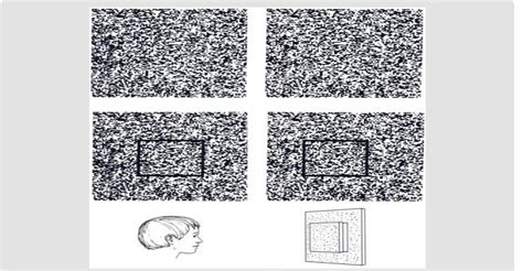 Julesz Random Dot Stereogram 26 Eye They Look Like
