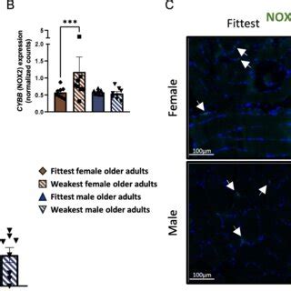 Characterization Of Female Specific Differentially Expressed Genes And Download Scientific