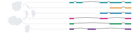 The HiFi Difference A Better Cell Atlas With Full Length Isoform Sequencing PacBio