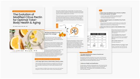 Layout Design 3 Images Behance