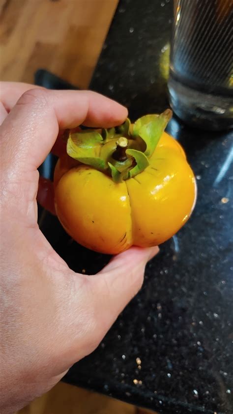 Is This Persimmon Izu General Fruit Growing Growing Fruit