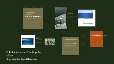 Echolocation And The Doppler Effect By Eli Balkman On Prezi