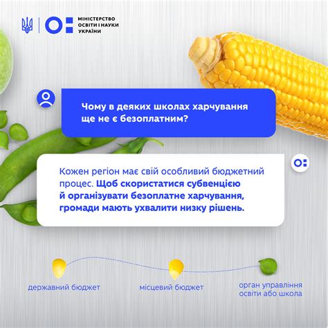 Харчування для учнів 1 4 класів Відповіді на найпоширеніші запитання Новини