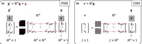 A Pho Model Displaying Examples Of Vectorized Matrices Of Single