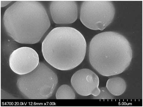 Silver Silicon Dioxide Double Layer Wall Material Based Multifunctional Microcapsule Phase