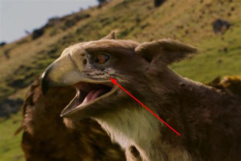 Narnian Creatures Griffin