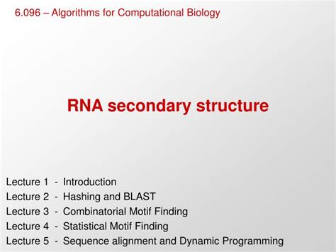 PPT RNA Secondary Structure PowerPoint Presentation Free Download
