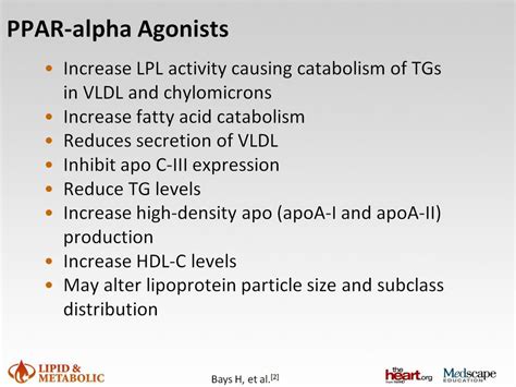 Panelists Secondary Prevention Of Macrovascular Events In Type 2