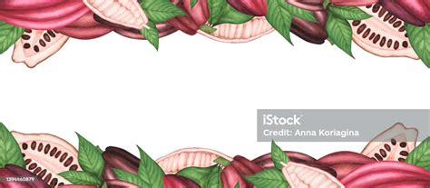 콩과 잎이 달린 익은 코코아 포드로 프레임하십시오 수채화 배너 포장 템플릿 메뉴 포스터에 대한 일러스트 레이 션 갈색에 대한 스톡 벡터 아트 및 기타 이미지 Istock