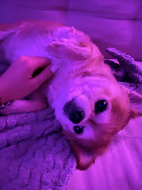 Gallery Princess Kassidy Vsco