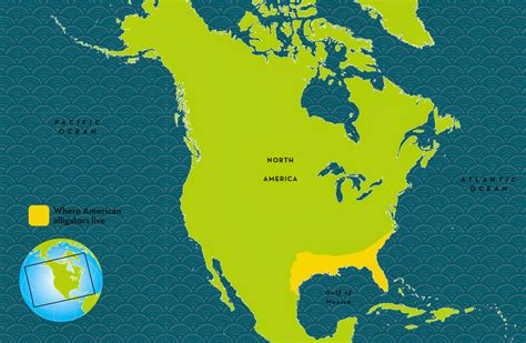 Where American Alligators Live 2018 National Geographic Map Of