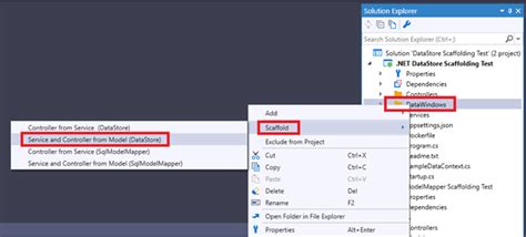 Scaffolding Services And Controllers