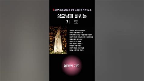 성모님께 바치는 기도 ㅣ위로가 되는 기도ㅣ치유의 기도 ㅣ마음의 평화를 얻는 기도ㅣ엄마의 기도ㅣ일상기도ㅣ묵상 기도ㅣ듣고 따라하는 기도ㅣ품격있는 삶 세레나의치유의숲 Youtube