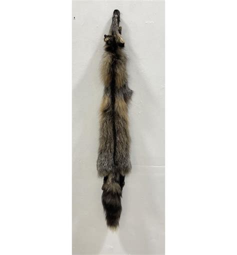 Sold At Auction Beautiful Ranch Cross Fox Fur Pelt Taxidermy 77