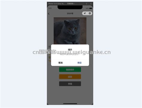 宠物领养小程序 Springboot微信小程序
