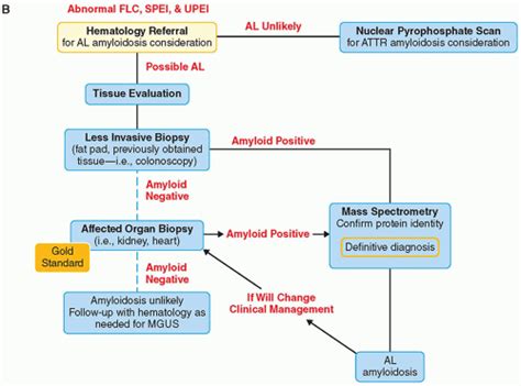 Amyloid Cardiomyopathy Thoracic Key