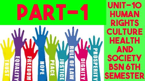 Human Rights Unit 10 Part 1 Culture Health And Society Bsn 6th Semester In Urdu English