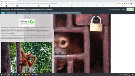 Tips Membuat ArcGIS Story Maps Musnanda Satar