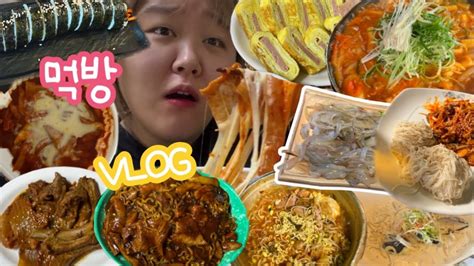 먹방 브이로그 72 엽떡에 분모자 추가 ️‍🔥 엽떡 해장냉면 써브웨이 맘스터치 푸라닭 엽떡짜장 김치찜 크림짬뽕 짜파구리 김밥 떡볶이 흑돼지 닭볶음탕 오징어회 비빔밥