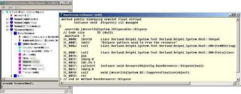 Delphi Compiler Directives Winlasopa