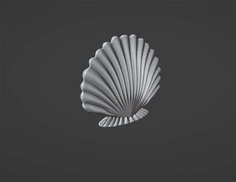 Stl File Sea Shell・3d Printer Model To Download・cults